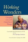 Working Wonders: Changing Lives with Craniosacral Therapy by John E ...