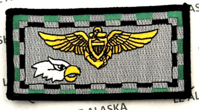 U.S. NAVAL AVIATOR VA-195 VFA-195 DAMBUSTERS NAMETAG PATCH (N15) | eBay