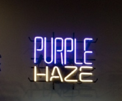 Purple Haze Neon Sign Light Beer Bar Pub Wall Hanging Handcraft Artwork ...