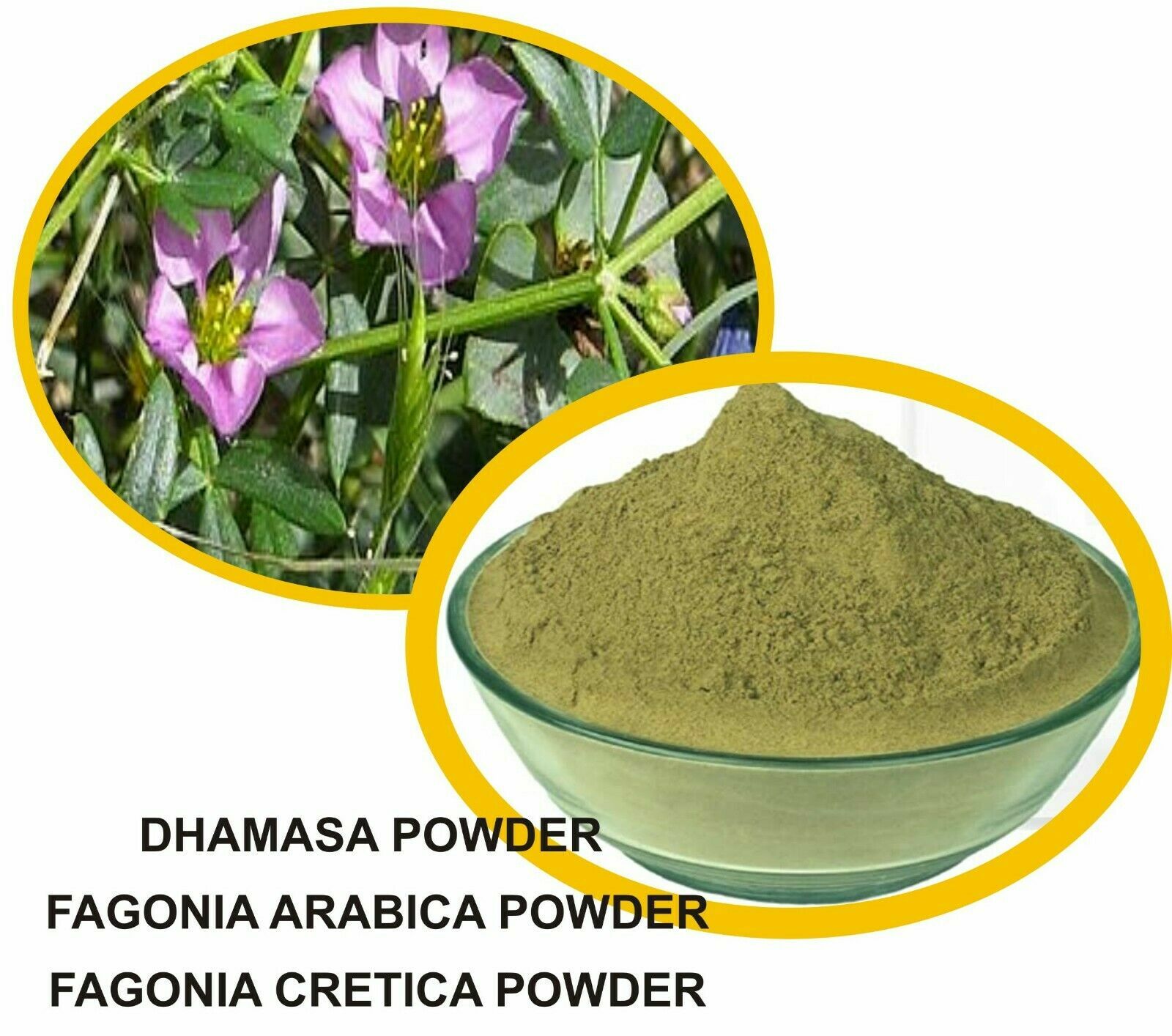 Pack of 2 Organic Dhamasa Fagonia Cetica Fagonia Arabica Flower Powder ...