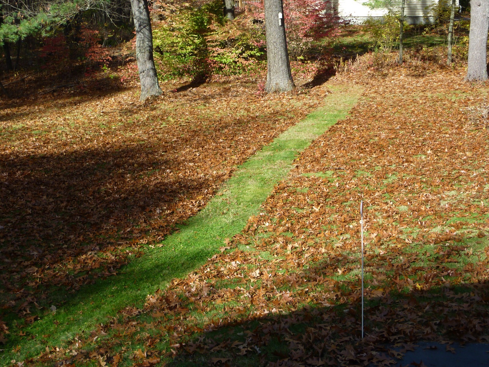 HD Universal Leaf & Grass Bagging System for Z-Turn Mowers - Complete w ...