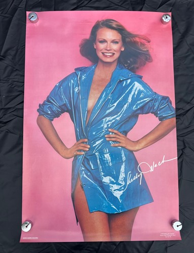 Vintage 1979 Shelley Hack Sexy Actress Entertainment TV Poster Wall Art | eBay