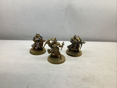 Warhammer AoS- Stormcast Eternals Castigators 3x models built, primed # ...