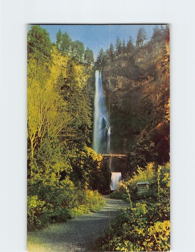 Postcard Multnomah Falls Columbia Gorge Oregon USA | eBay