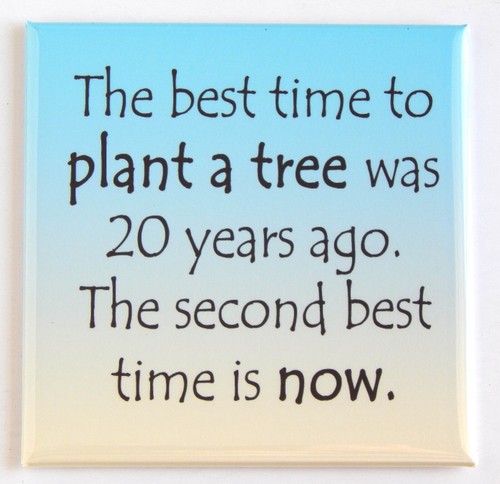 "The Best Time to Plant a Tree..." FRIDGE MAGNET inspirational quote | eBay