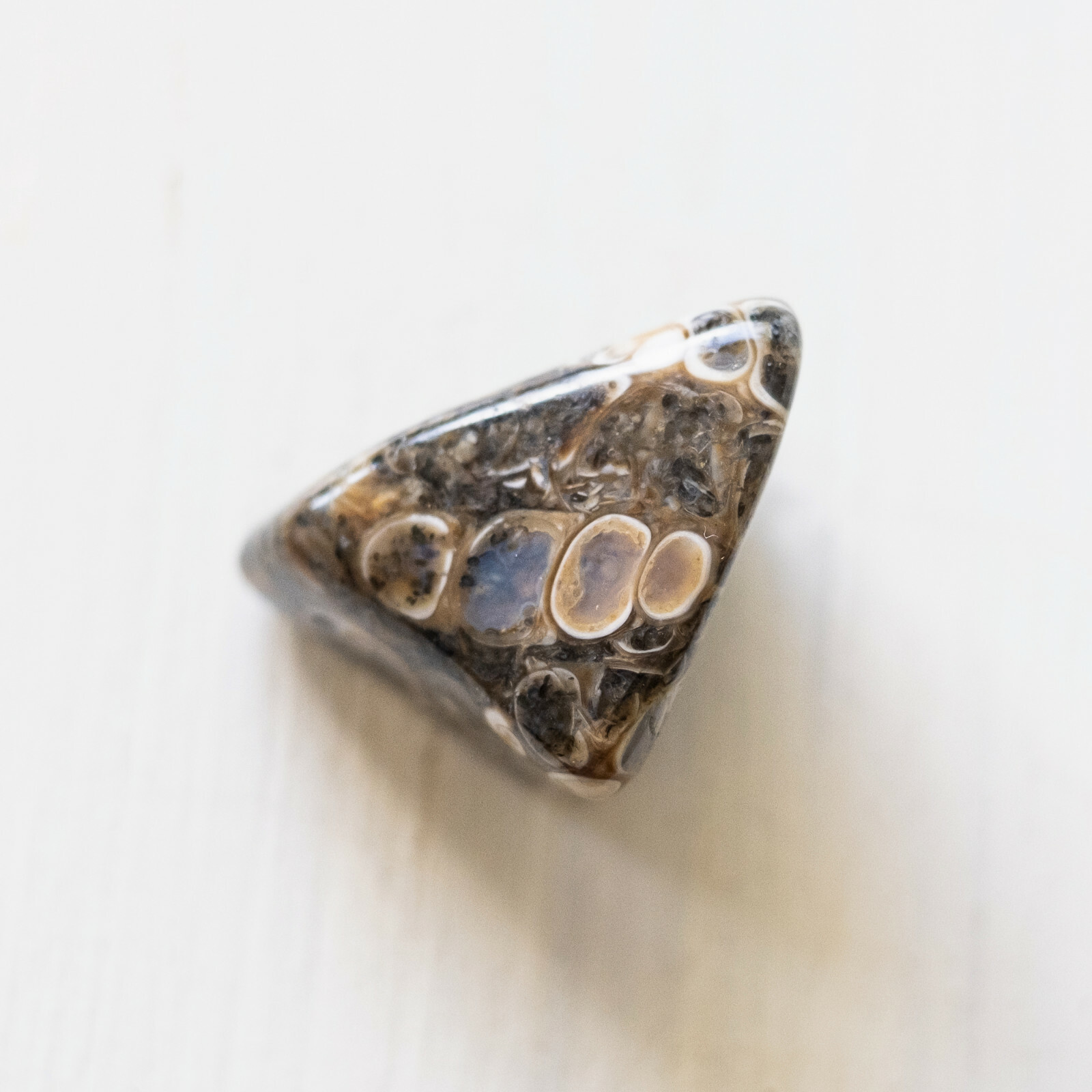 AGATE FOSSILE OU TURITELLE Pierre roulée - Lithothérapie Minéraux ...