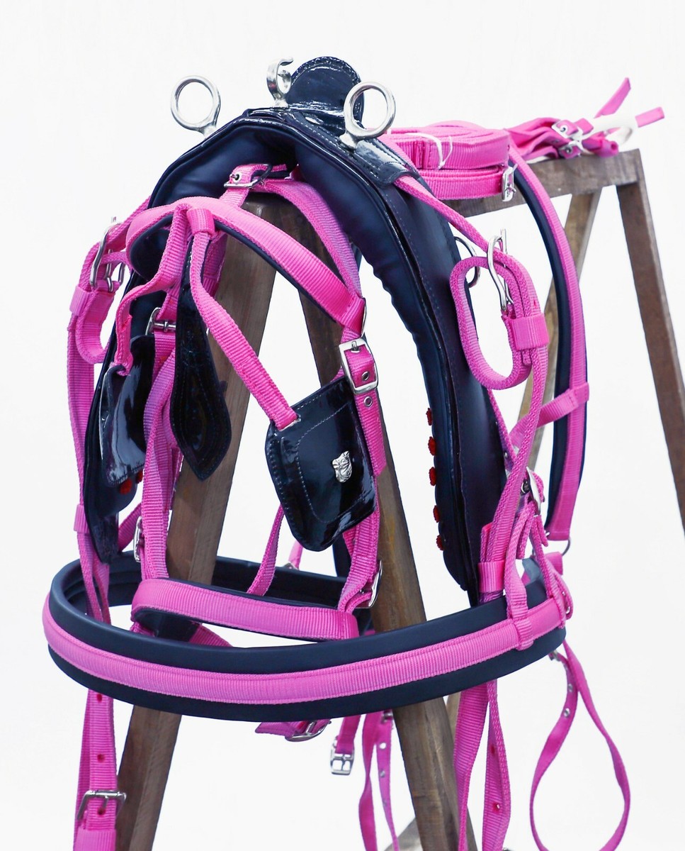 Horse Pulling Harness NEW NYLON WEBBING DRIVING HARNESS TWO TONE FOR