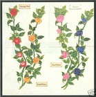ROSES & ROSE VINES WALL STICKERS DECOR ART TRANSFERS | eBay