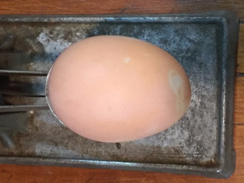 Antique Vintage Acme Egg Grading Scale with Ceramic Chicken Egg | eBay
