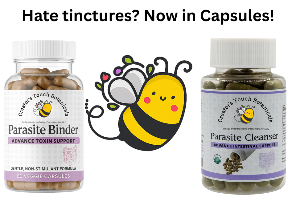 Parasite Binder Capsules 60 Veg Caps – Detox Support, Natural Cleanse ...