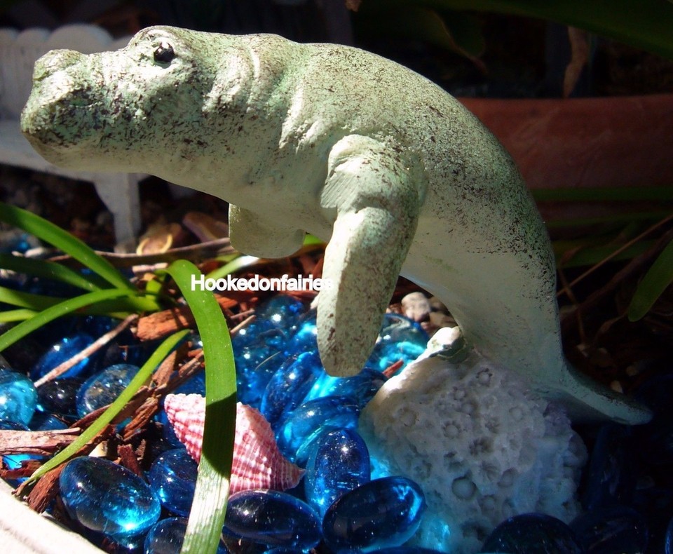Miniature Manatee LS MN100 Fairy Garden Terrarium | eBay