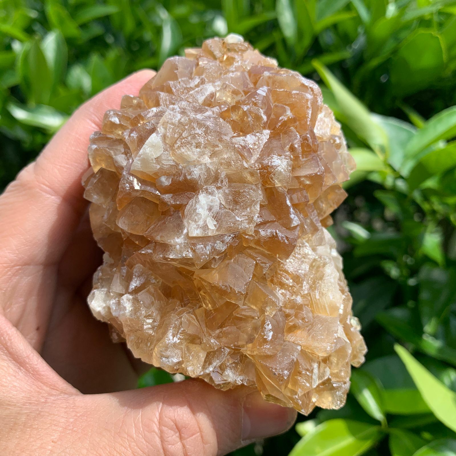 10cm 492g Golden Honey Yellow Calcite Stone Crystal Rock Mineral ...