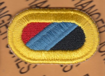 145th Airborne Infantry Pathfinder Platoon Aviation para oval patch | eBay