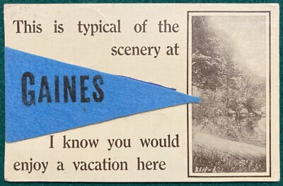 Gaines Michigan MI Felt Pennant Greetings from Postcard Flag 1912 ...