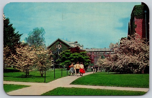 Postcard Campus in Spring, University of Connecticut D171 | eBay