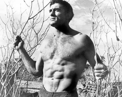 Mike Henry Tarzan and the Valley of Gold [1038992] 8x10 photo or Poster ...