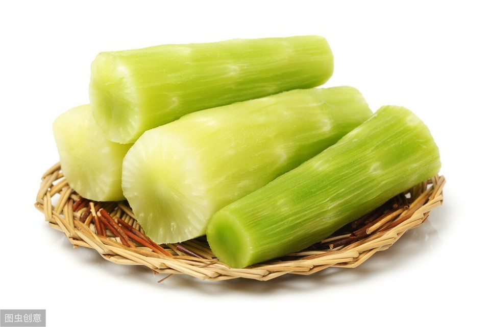 RARE Heirloom Mountain Jumbo Celtuce/Wosun/Asparagus Lettuce 50+ Seeds ...