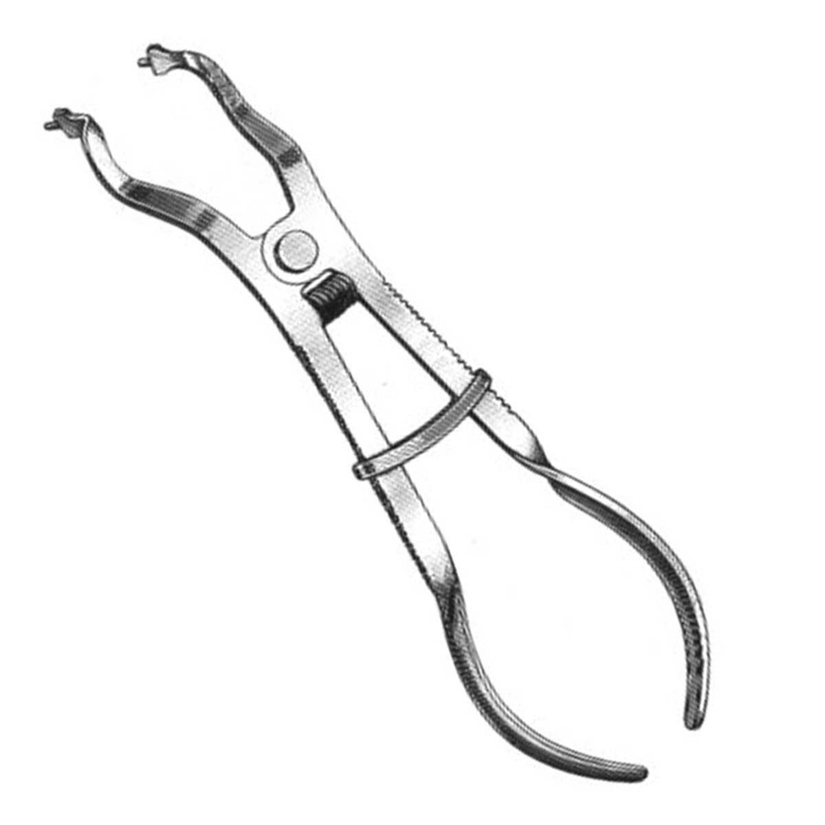 DENTAL ENDODONTICS CLAMP-FORCEPS IVORY LIGHTWEIGHT PLIER RUBBER DAM ...