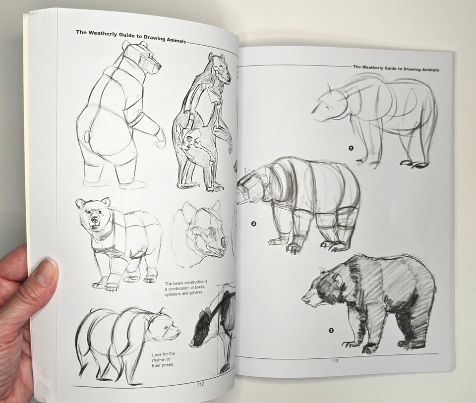The Weatherly Guide to Drawing Animals, Joe Weatherly Instructional ...