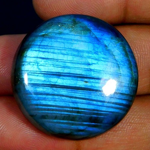 Wholesale 61.50Cts Natural Bi-Color Fabulous Labradorite Round Cabochon ...