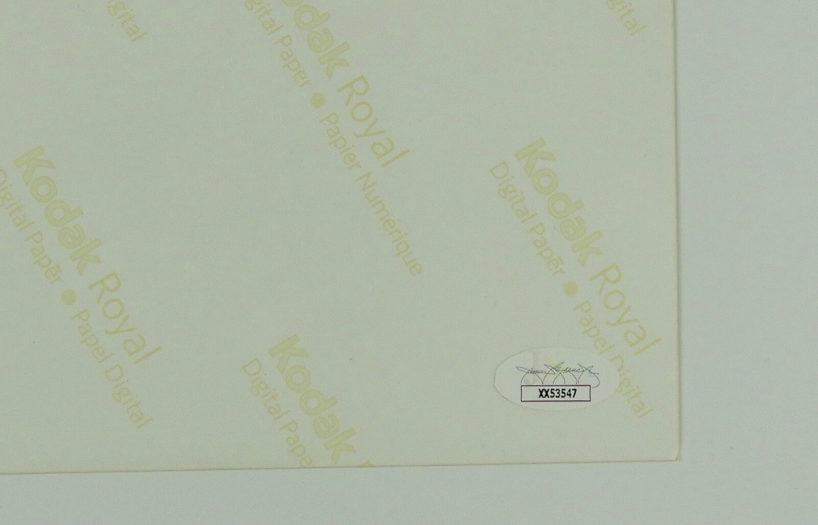 The Tragically Hip JSA Signed Autograph Gord Downie 8 x 10 Photo REAL ...