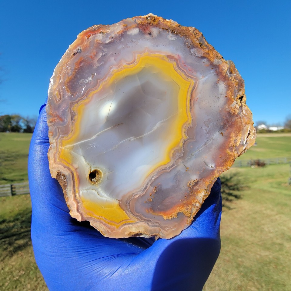 Kentucky Agate Geode - Estill County - Gold, Blue, Purple and Bonus ...