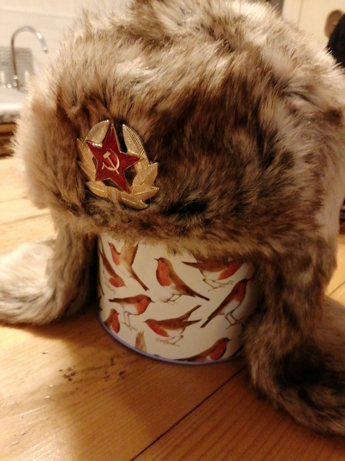 Soviet Ushanka for sale in UK | 60 used Soviet Ushankas