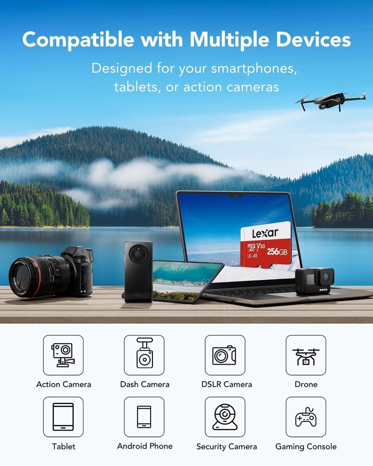 Lexar 256GB Micro SD Card E Series, microSDXC UHS-I Flash Memory Card ...