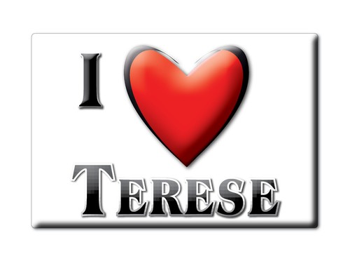 Terese Fridge Magnet Name Gift Idea Birthday Graduation Birth | eBay