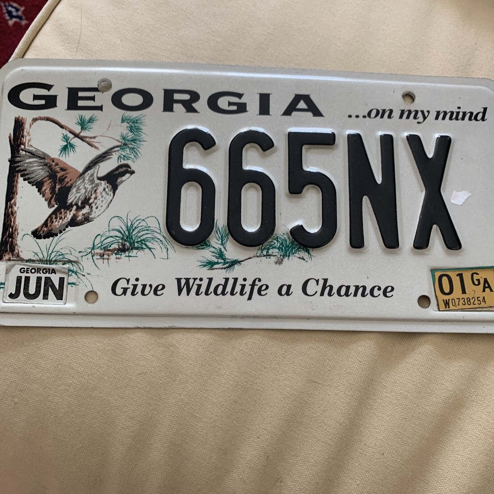 Vintage 2001 Georgia License Plate Give Wildlife a chance | eBay