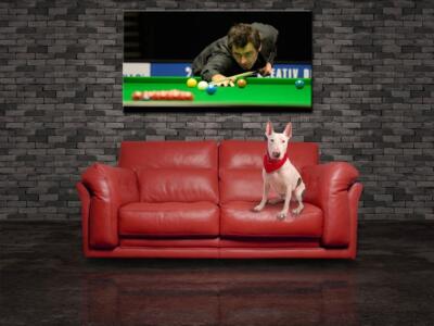 Ronnie O'Sullivan Snooker CANVAS PRINT Home Wall Decor Giclee Art ...