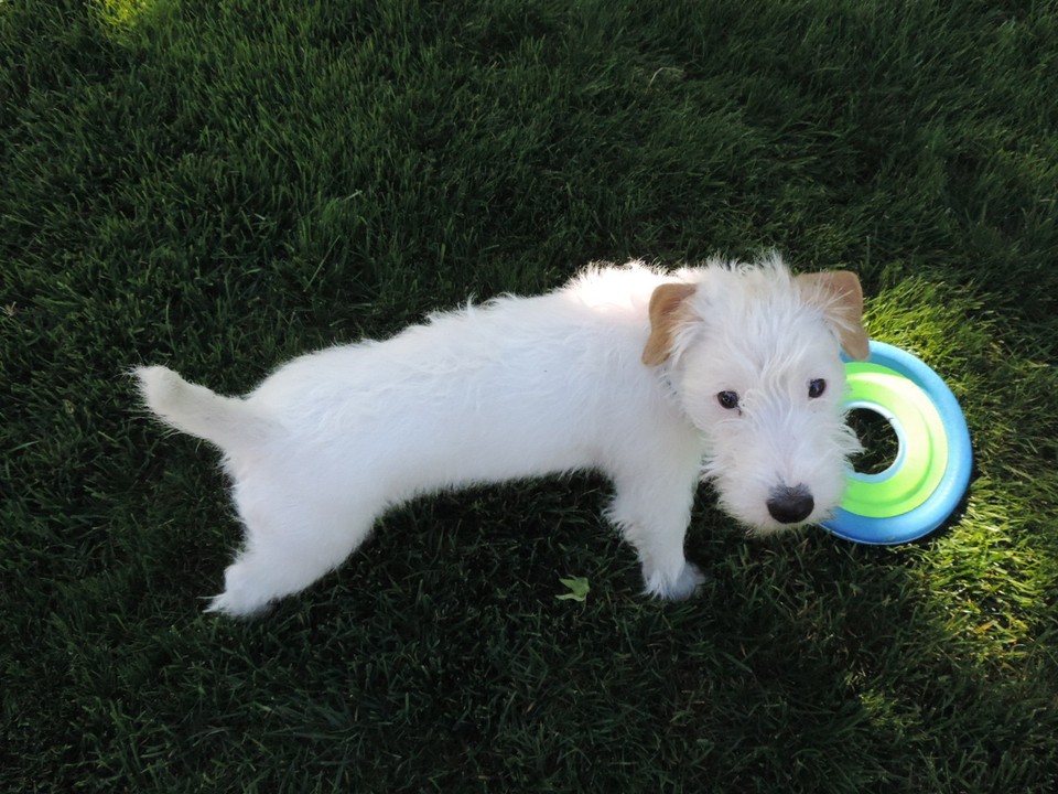 Air Force Logistics Command Team Lead ALC Lm 21 Uniform Patch SEW ON ...