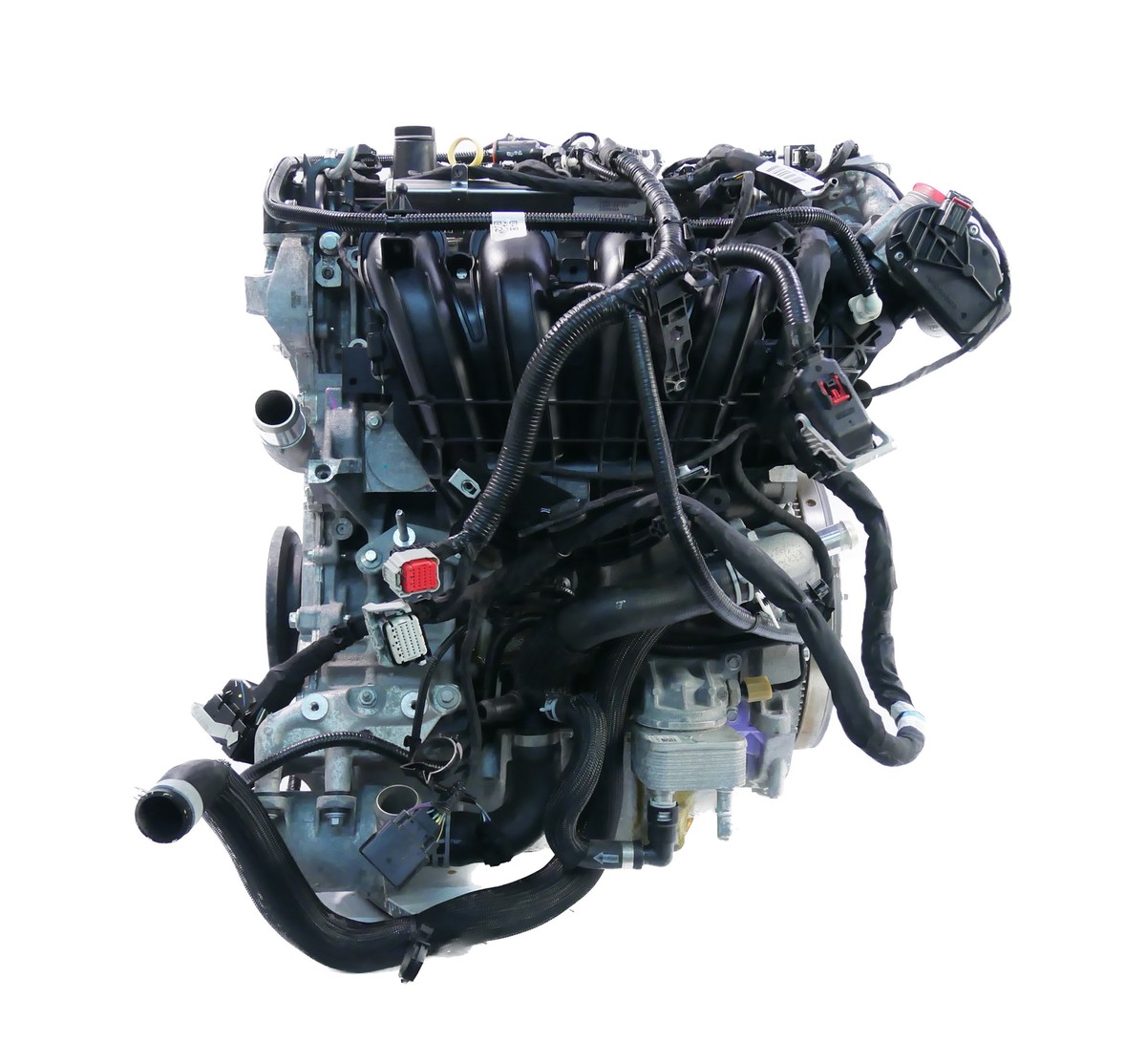 Ford Duratec Engine Cosworth 2.0 Litre Engine Range