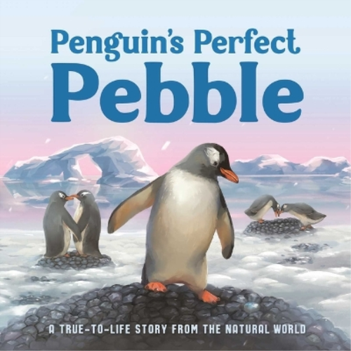 Igloobooks Penguin's Perfect Pebble (Libro de cartón) 9781837716807 | eBay