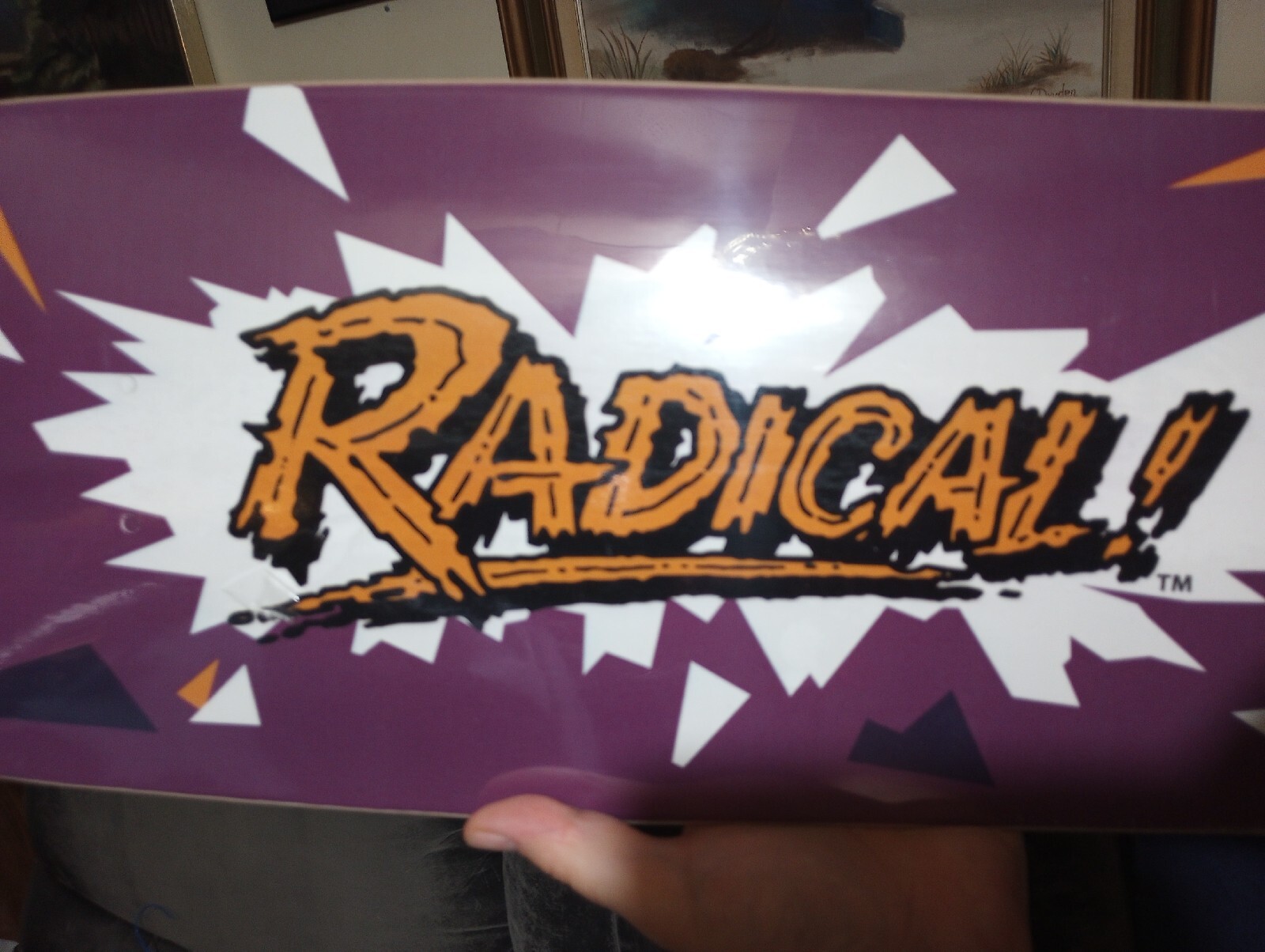 Skateboard Deck fom Bally's 1990 Radical! pinball machine ONLY 1 of 3 ...