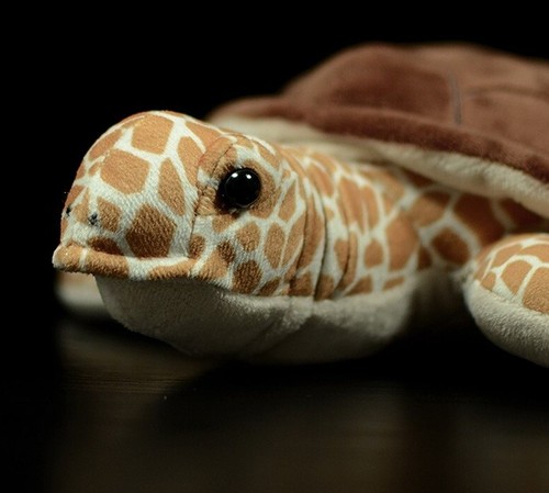 Brown Leatherback Turtle 12" Stuffed Animal Plush Toys Toddler Doll ...