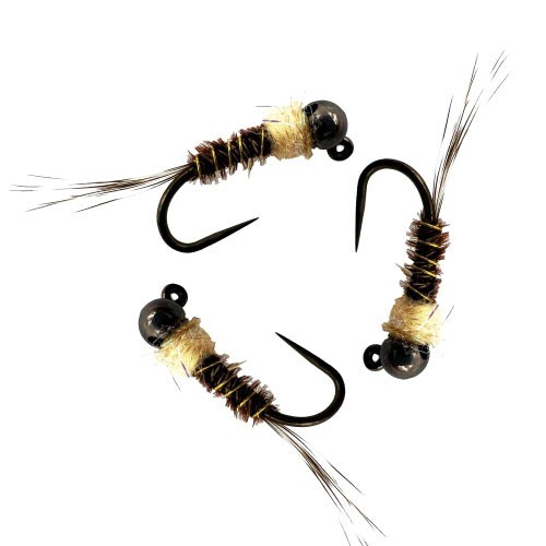16 Pc BH Frenchie, Size #14 - Nymph Fly Fishing Flies Blackout Espresso ...