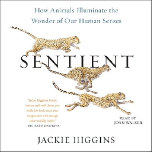 Sentient : How Animals Illuminate the Wonder of Our Human Senses by ...