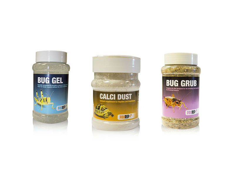 Reptile Livefood Care Pack Bug Grub Bug Gel Calcium Dust Live Food Care ...
