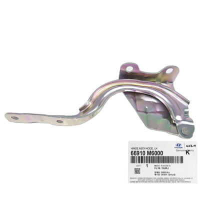 GENUINE 66910M6000 Left Hood Hinge for KIA Forte Sedan 2019-2020 | eBay