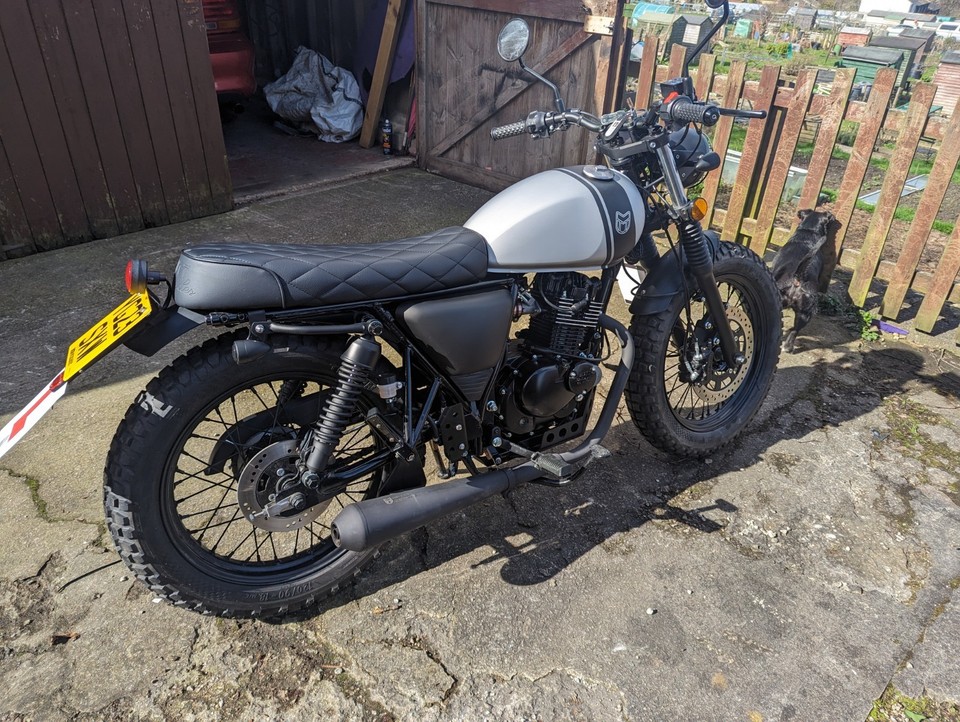 2023 Mutt RS13 125cc Retro Scrambler Style | eBay UK