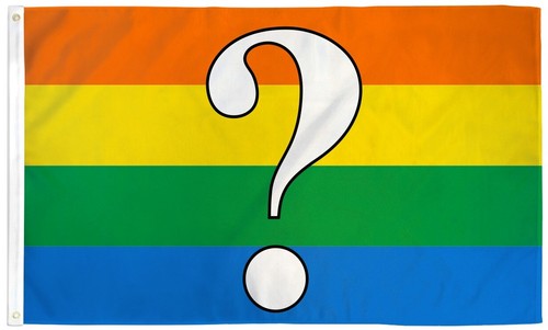 Questioning Flag 3x5ft LGBTQIA LGBT Queer Questioning Pride Flag | eBay