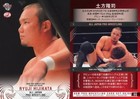 Bbm2009 Pro Wrestling Card Set 08-09 All Japan 06 Regular Hijikata Takashi | eBay