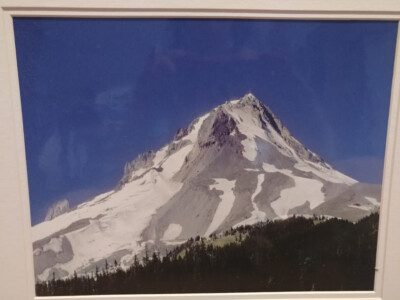 JOSEPH GEORGE LOESCH, PH. D. PHOTOGRAPH MOUNT HOOD, OREGON 1993 16 X 20 ...