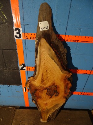 A2133 1" THICK spalted cherry burl live edge slab kiln dried | eBay