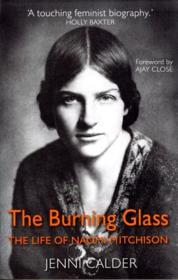 The Burning Glass 9781912240661 | eBay UK