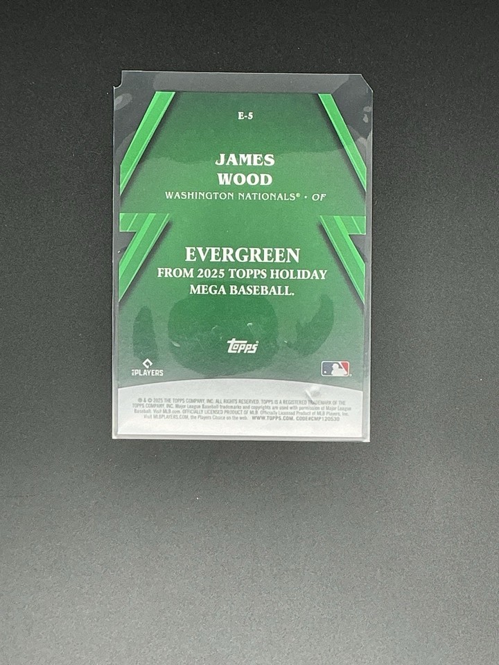 JAMES WOOD RC Evergreen 2025 Topps Holiday E-5 Washington Nationals | eBay