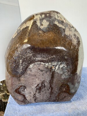 Huge Petrified Dinosaur Bone( Utah )under UV Light | eBay