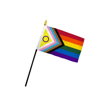 1 Dozen Inclusive Pride Stick Flags 4x6in Handheld Pride Flag LGBTQIA ...