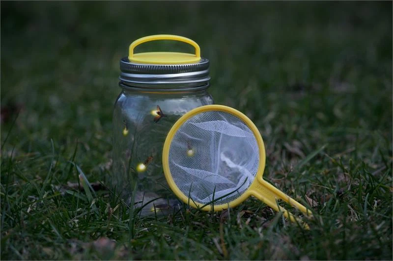 Lightning Bugs In A Jar